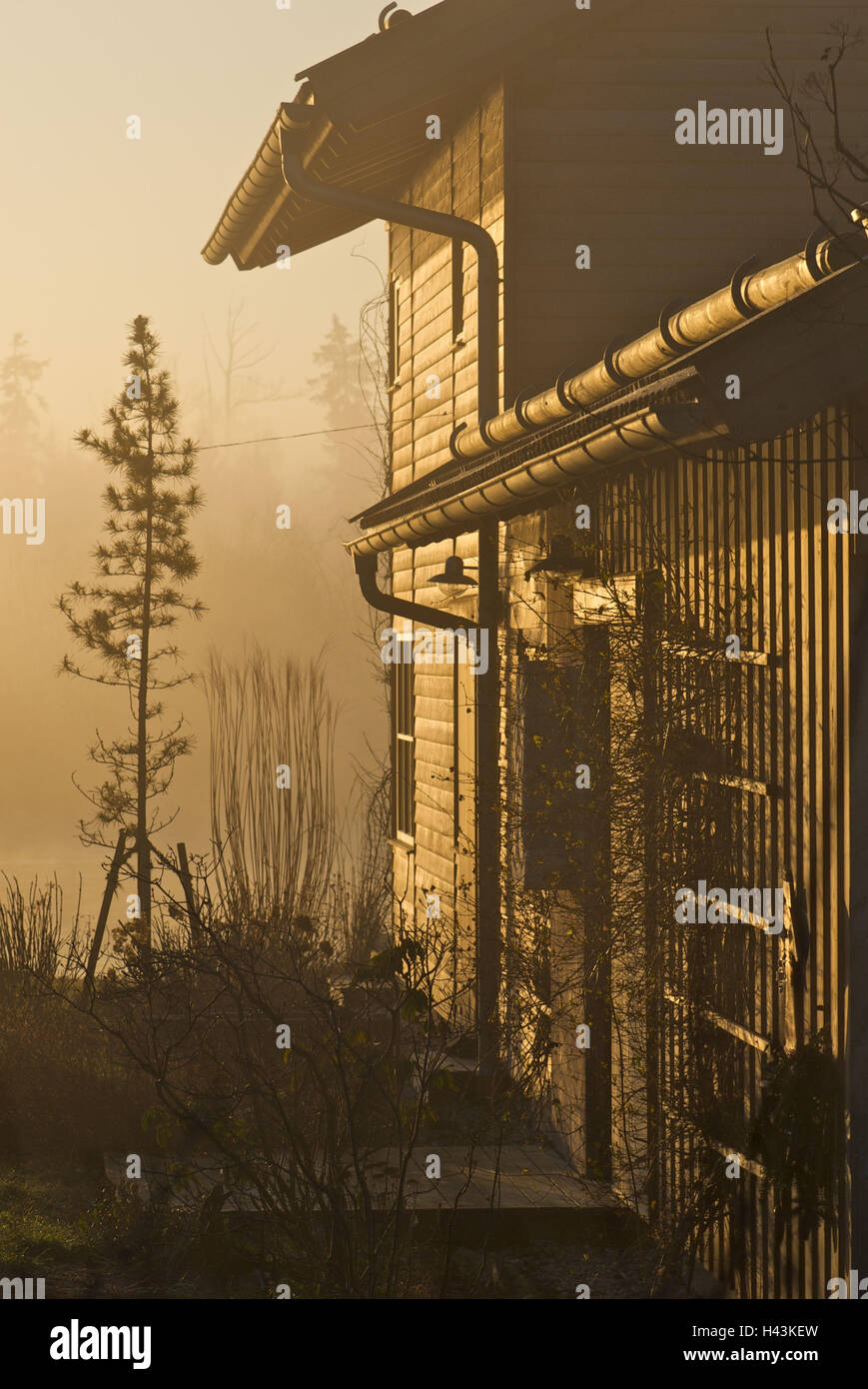 Wooden house, detail, facade, morning light Stock Photo - Alamy