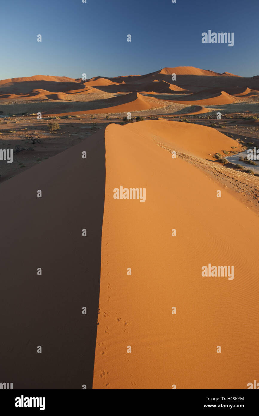 Africa, Namibia, region Erongo, Hardap, Karas, Namib Naukluft national ...