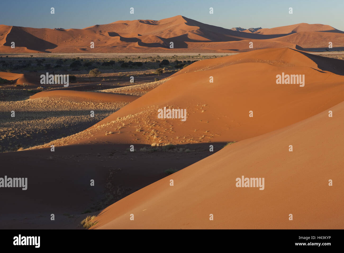 Africa, Namibia, region Erongo, Hardap, Karas, Namib Naukluft national ...