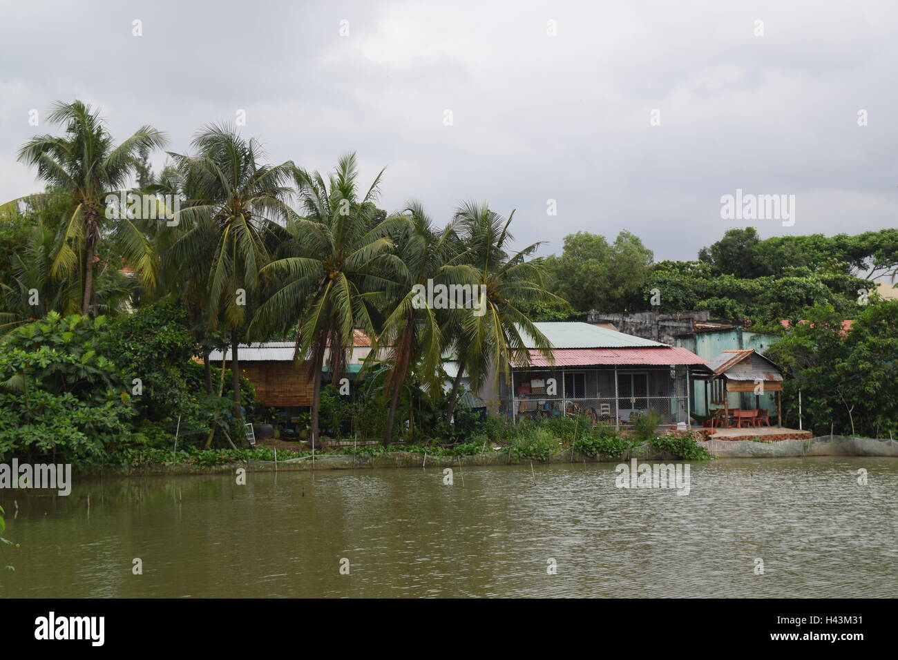 tropical river with village house and coconut tree Stock Photo - Alamy