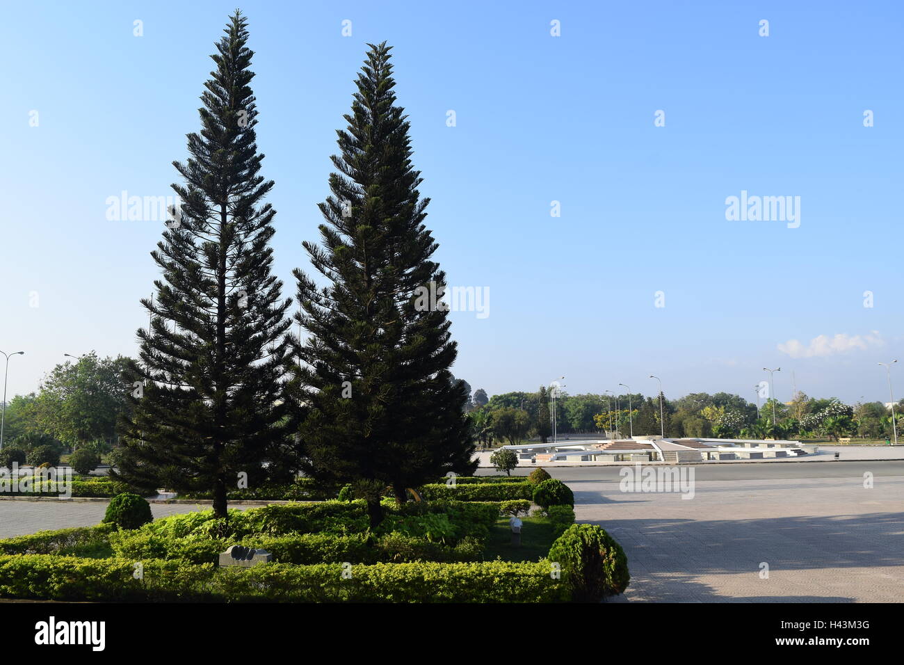 green square with pine tree and yard in blue sky Stock Photo - Alamy