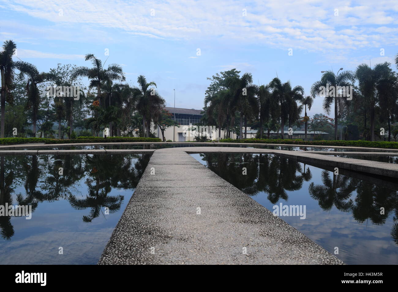 small pathway and coconut tree row reflect into the pond Stock Photo ...
