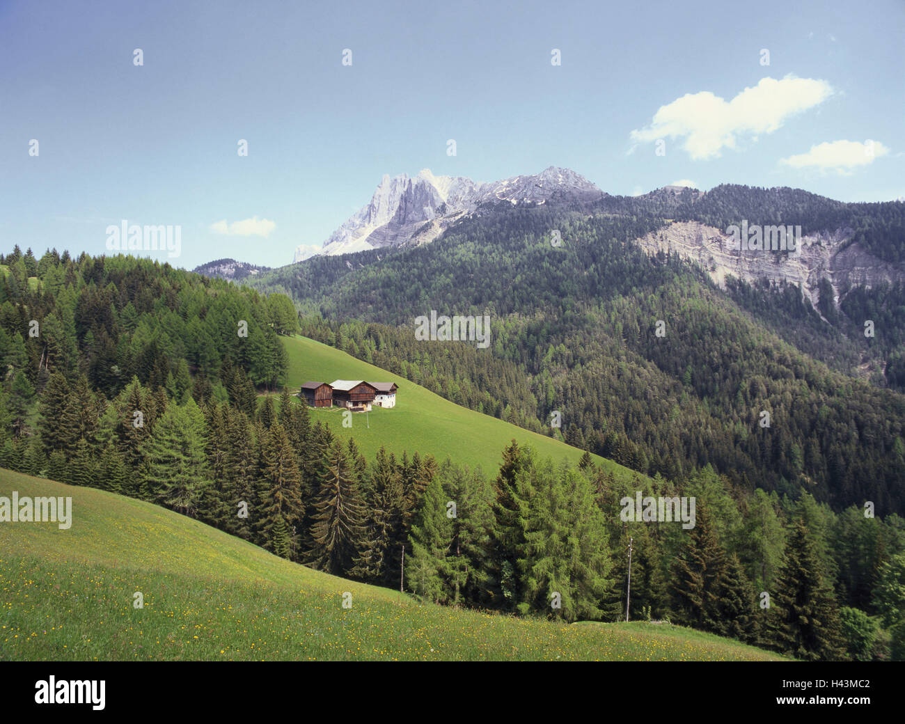 Italy, South Tyrol, the Dolomites, Würzjoch, Peitlerkofel, meadow, alp ...