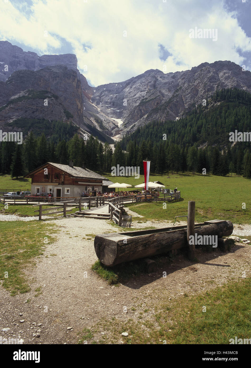Italy, South Tyrol, the Dolomites, green wood alp, mountain landscape ...