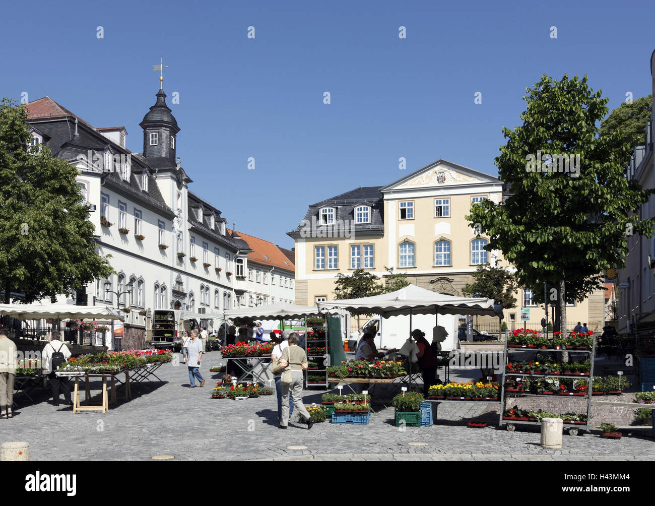 Germany, Thuringia, Ilmenau, marketplace, city hall, former local court ...