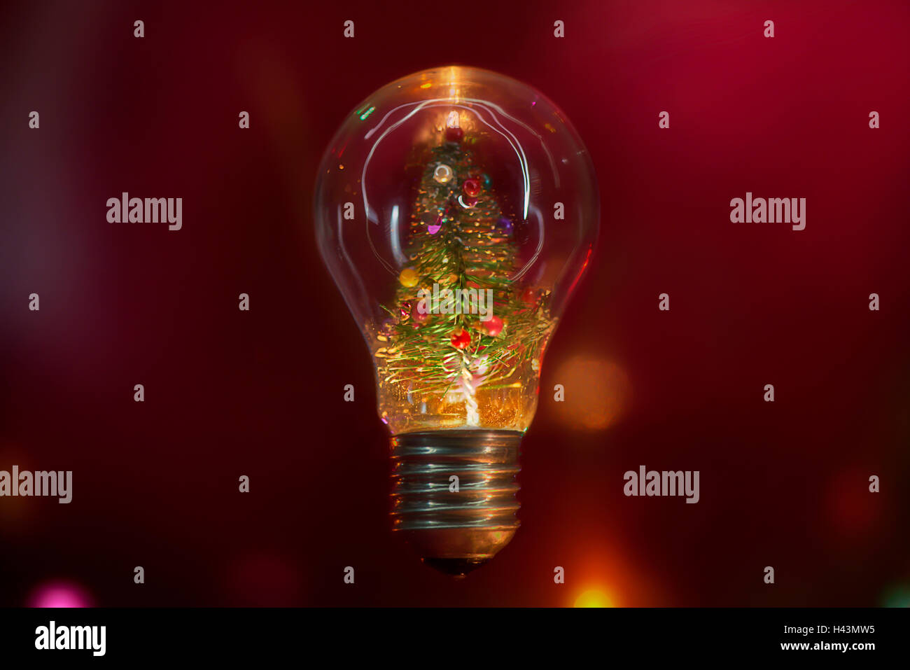 Tree in light bulb hi-res stock photography and images - Alamy