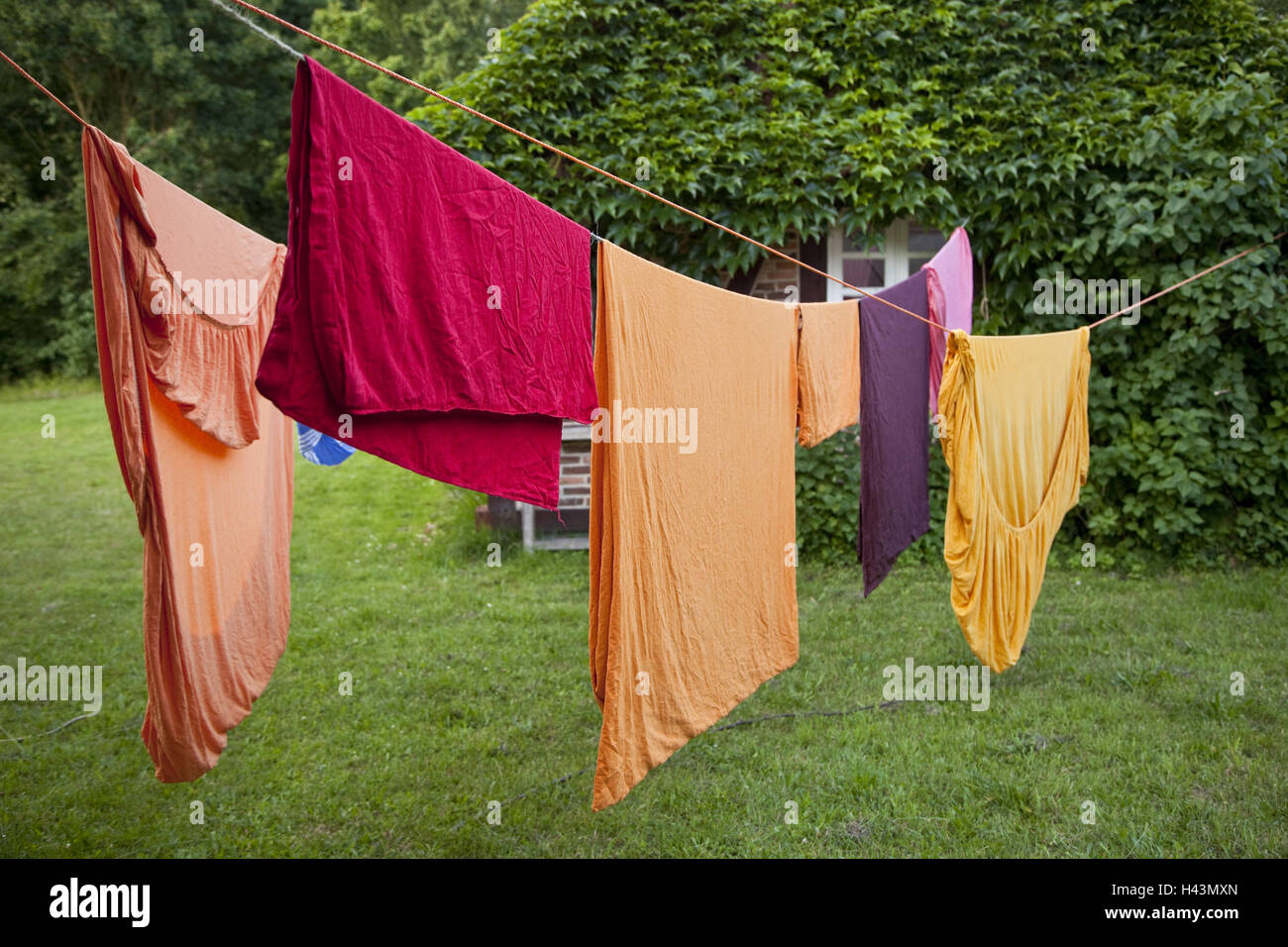 Garden, laundry, clothesline Stock Photo - Alamy