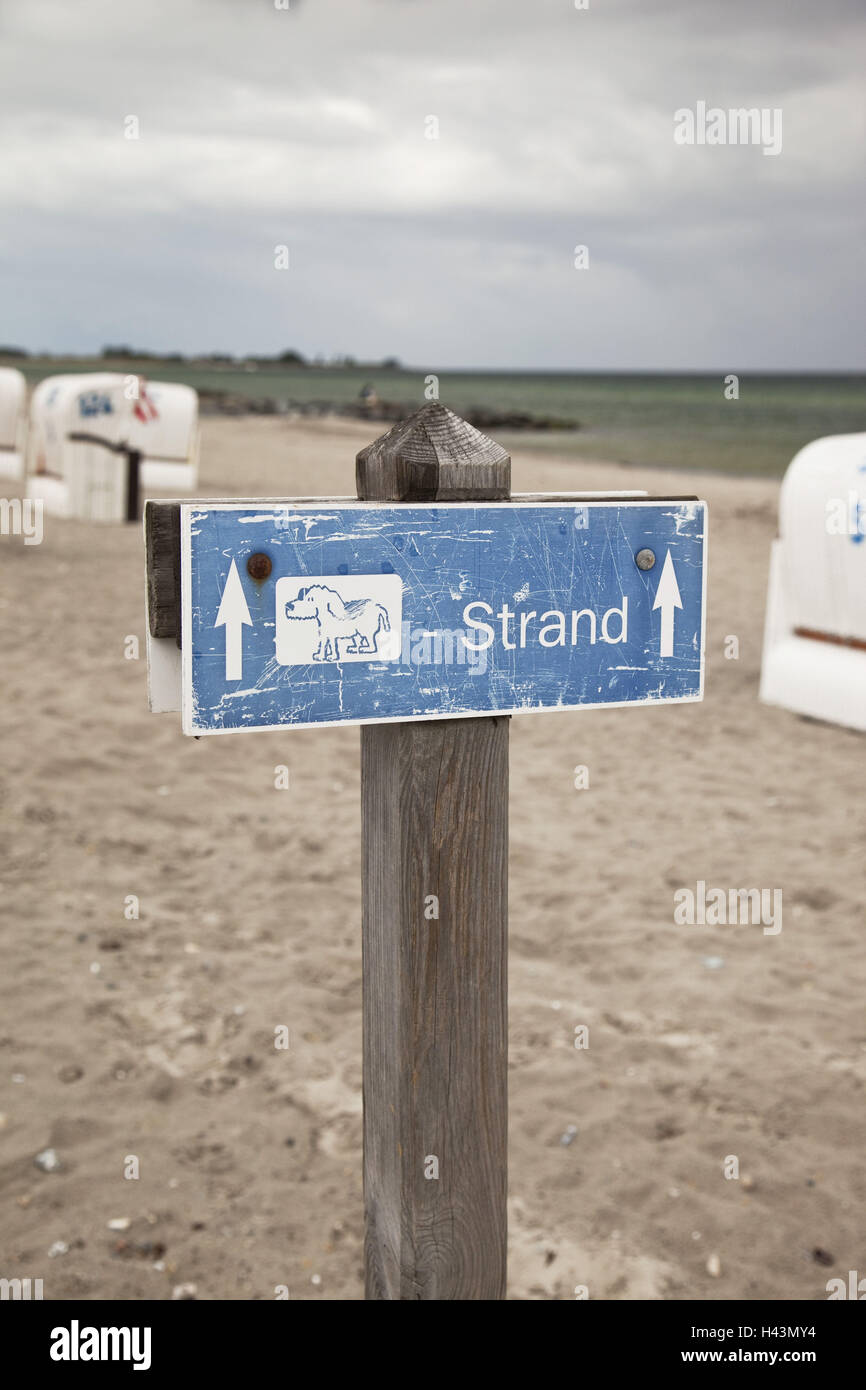 Beach, sign, dog beach Stock Photo - Alamy