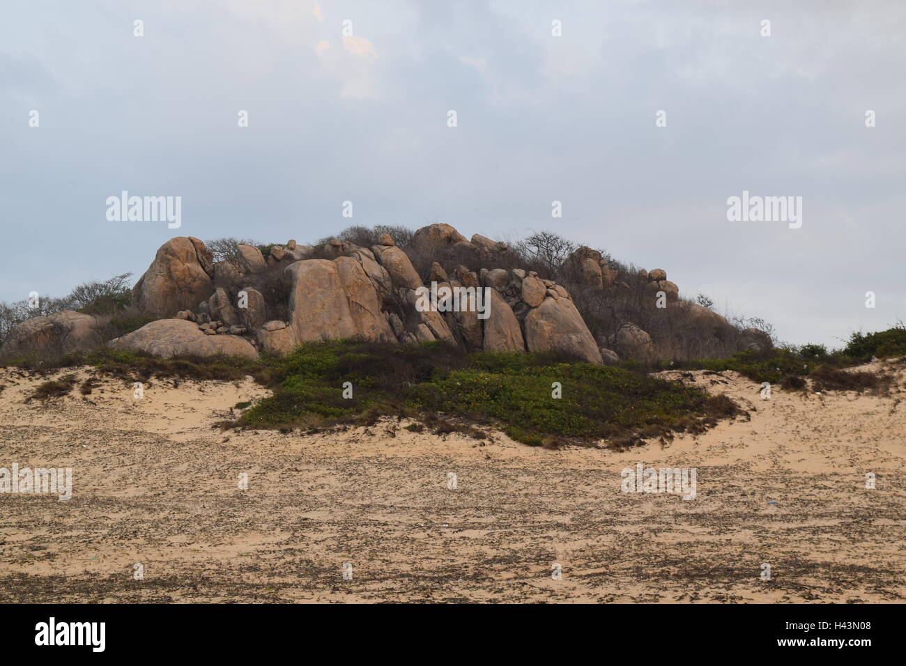 Sandy and rocky soil hi-res stock photography and images - Alamy