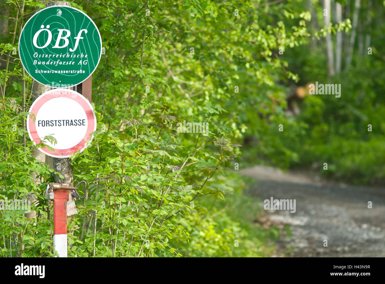 Forest road, signs, two, sign-posting, 'Österreichische Bundesforste AG ...