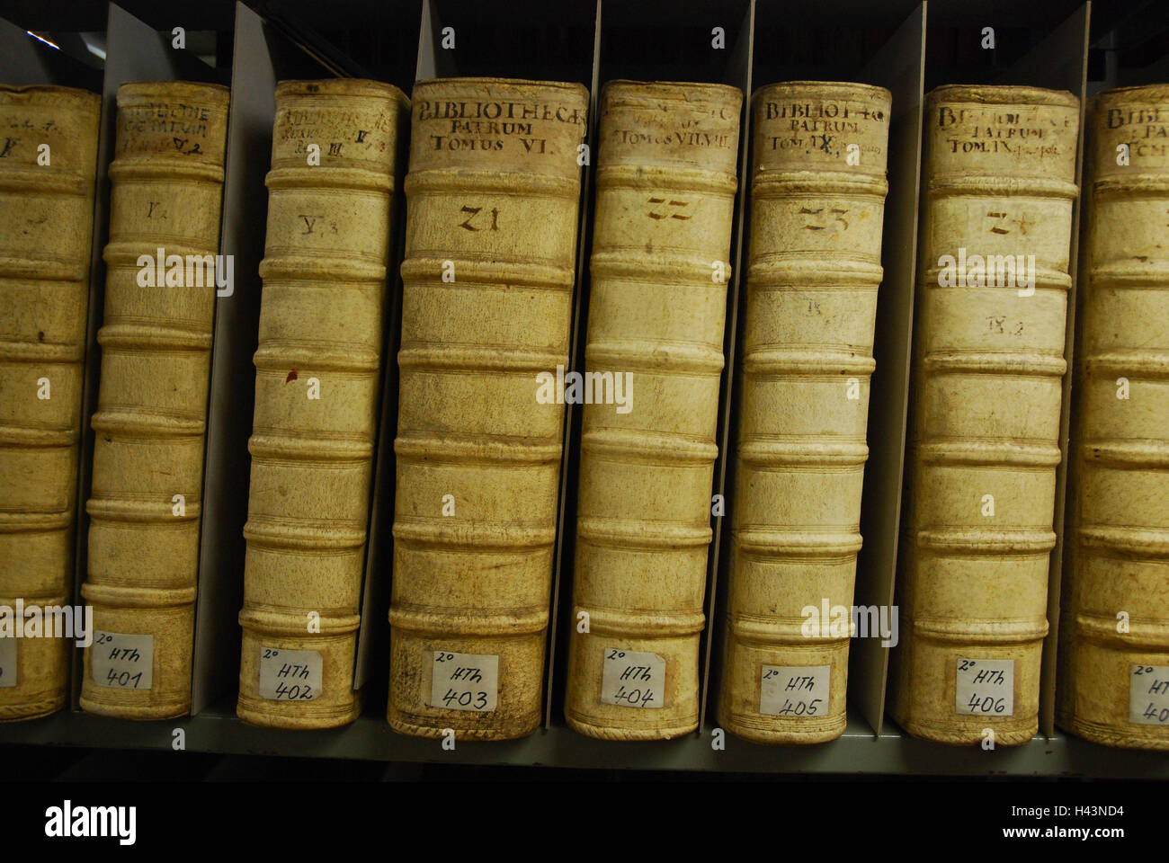 Germany, Saxony-Anhalt, Lutherstadt Wittenberg, university, library ...
