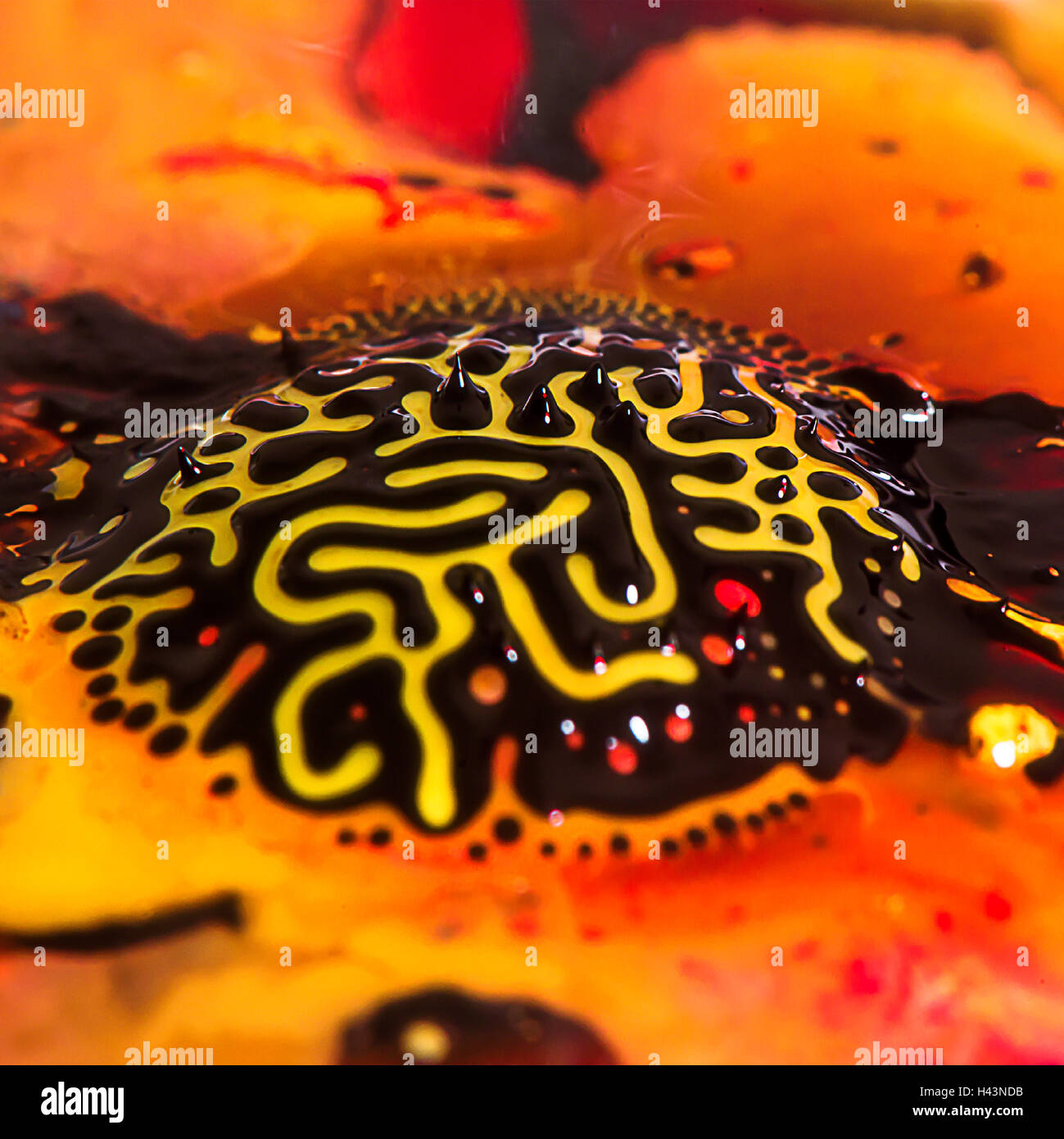 Ferrofluid liquid abstract pattern Stock Photo - Alamy