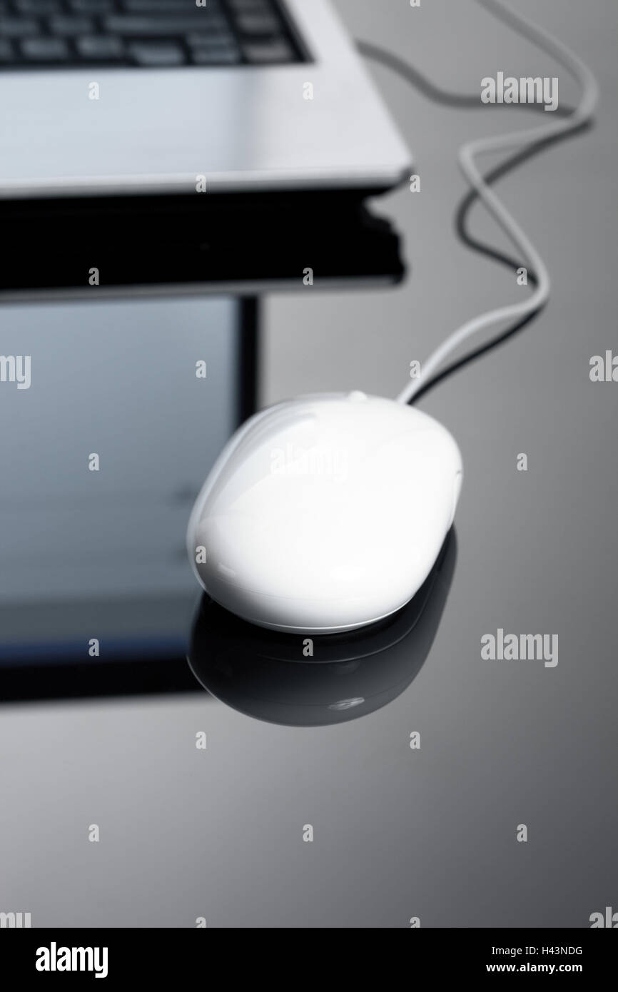 Front mouse hi-res stock photography and images - Alamy