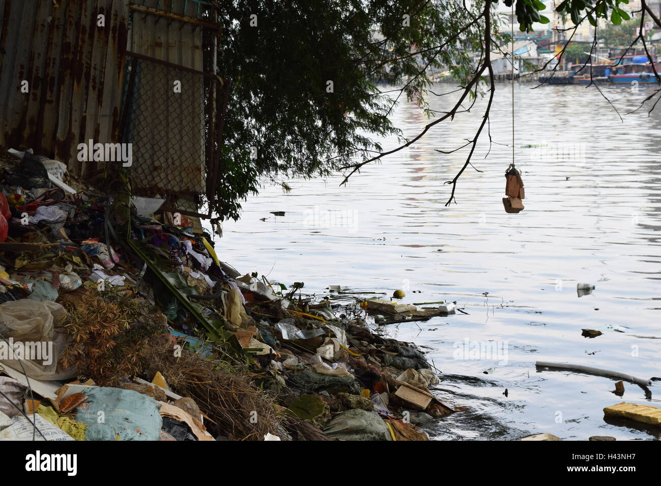 polluted river water with many domestic trash Stock Photo - Alamy