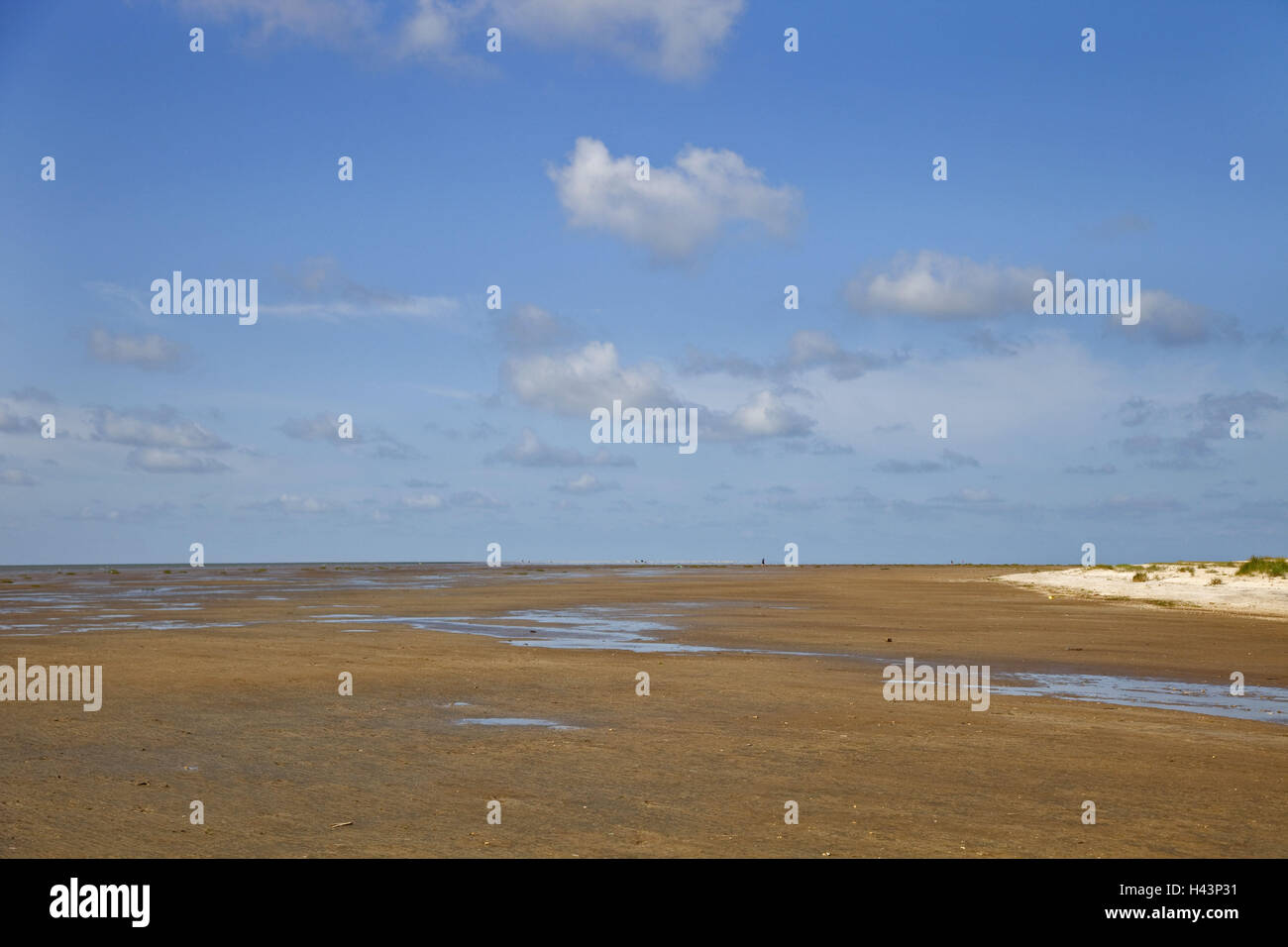 The North Sea, watt Stock Photo - Alamy