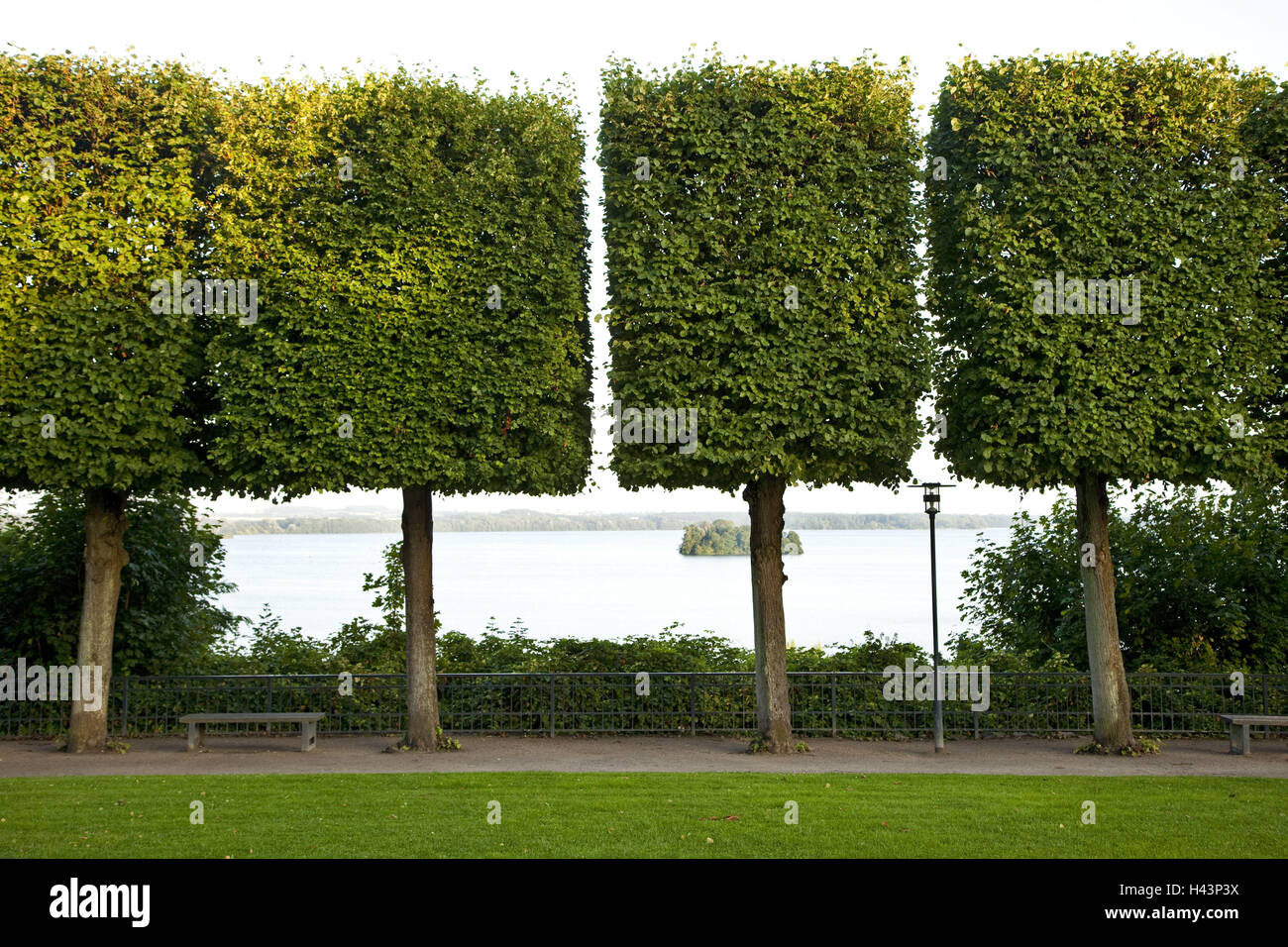 Form trees hi-res stock photography and images - Alamy