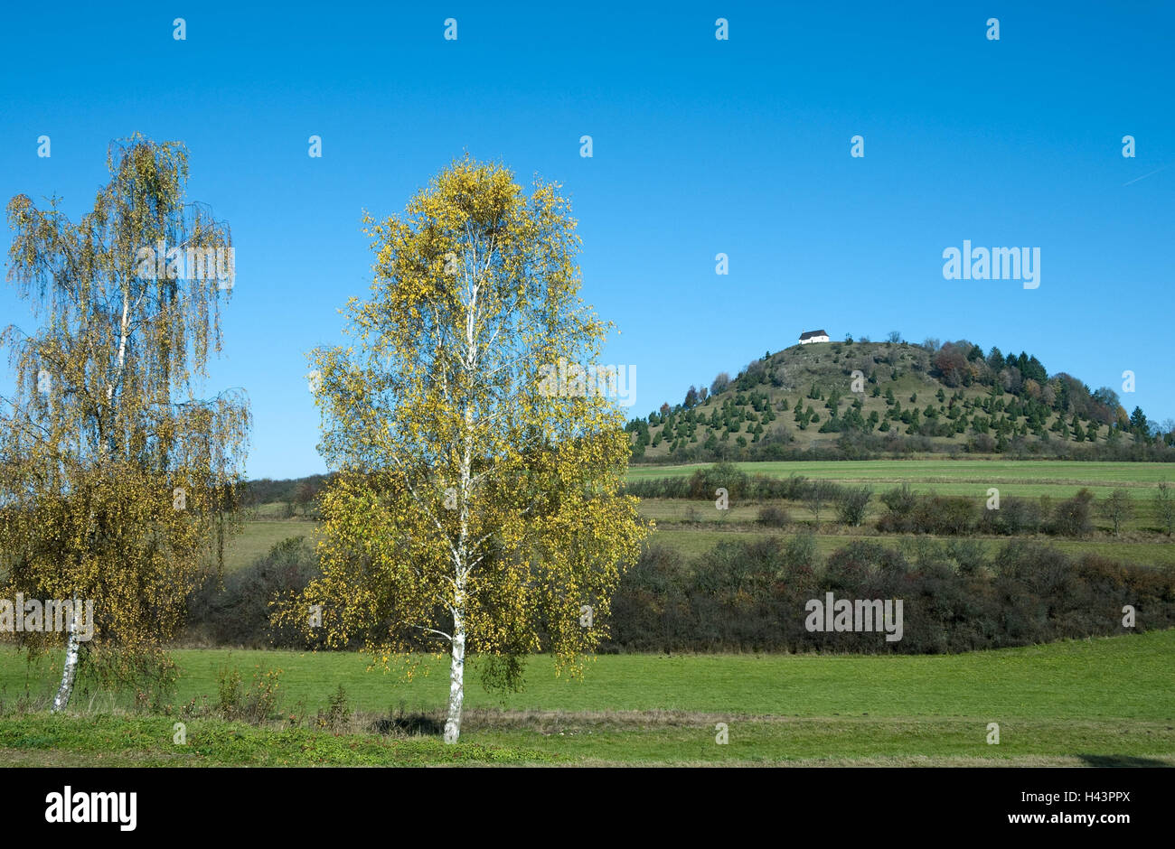 Germany, Baden-Wurttemberg, Burladingen - to salmon's things, Kornbühl ...