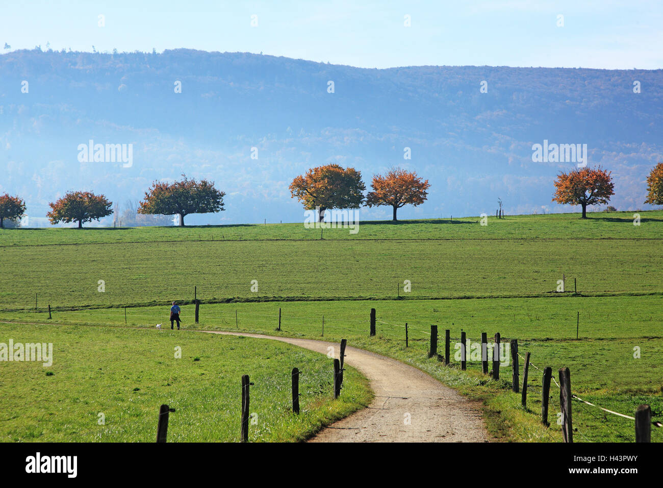 Switzerland, area Basel country, Therwil, scenery, way Stock Photo - Alamy