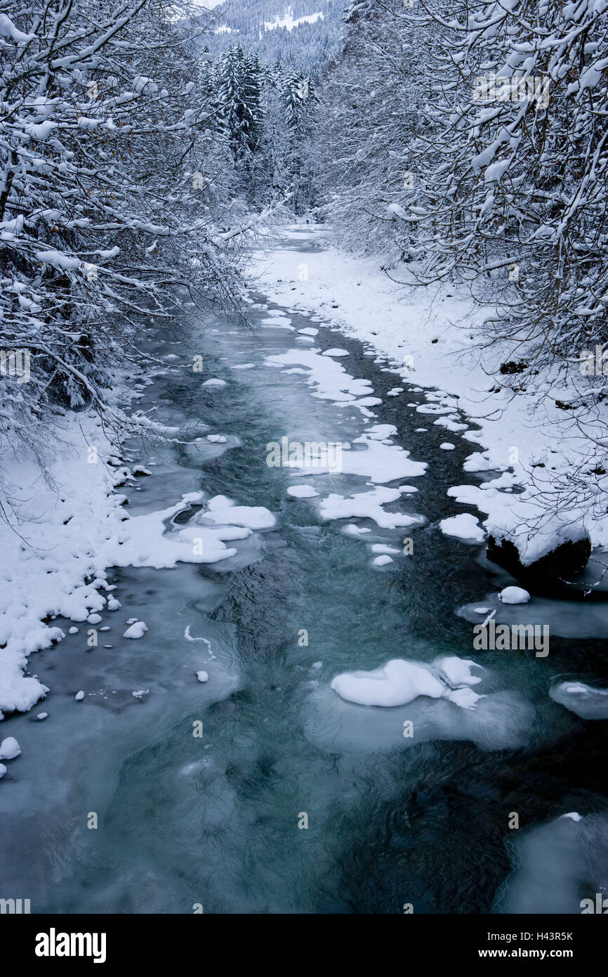 iced up mountain brook, winter Stock Photo - Alamy