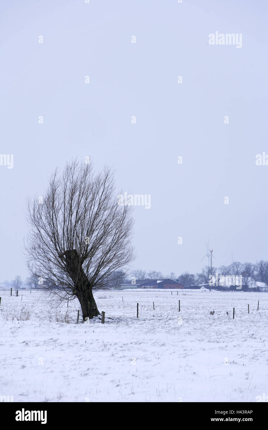 Dreary cold hi-res stock photography and images - Alamy