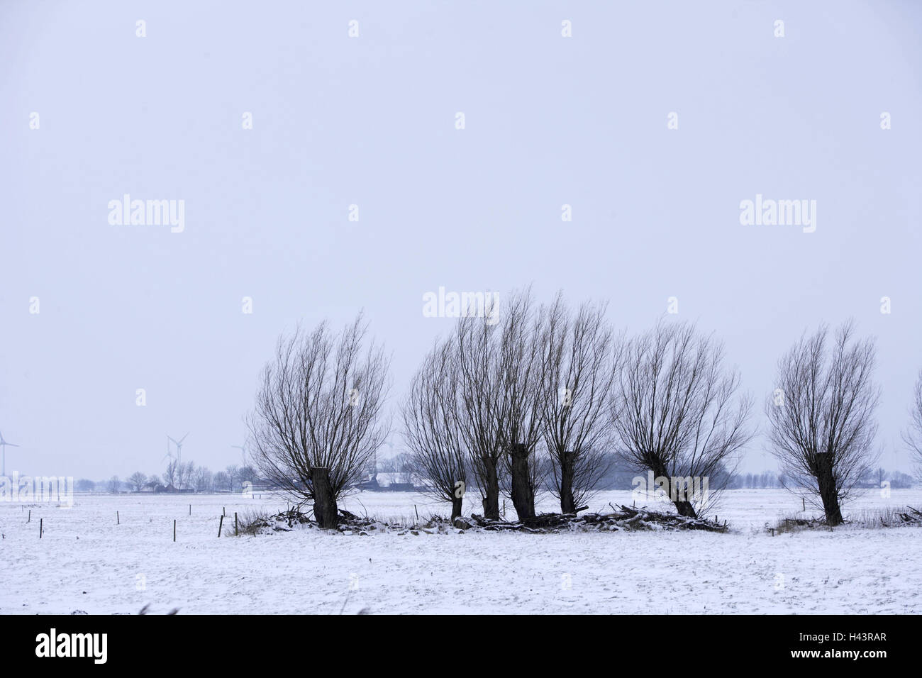 Butjadingen hi-res stock photography and images - Alamy