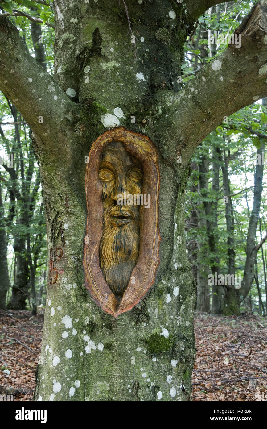 Beech wood carving hi-res stock photography and images - Alamy
