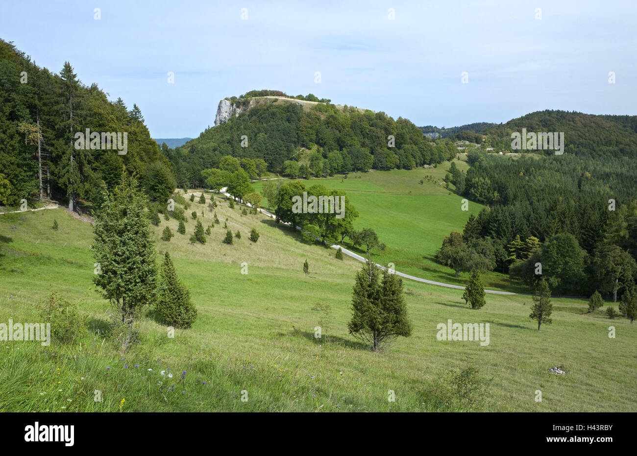 Germany, Baden-Wurttemberg, living, in the Tann, mountain Schaf, view ...