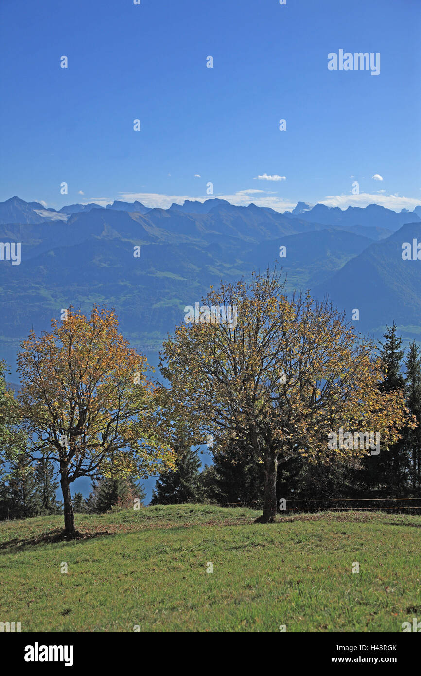 Switzerland, area Lucerne, Rigi, scenery, view Stock Photo - Alamy