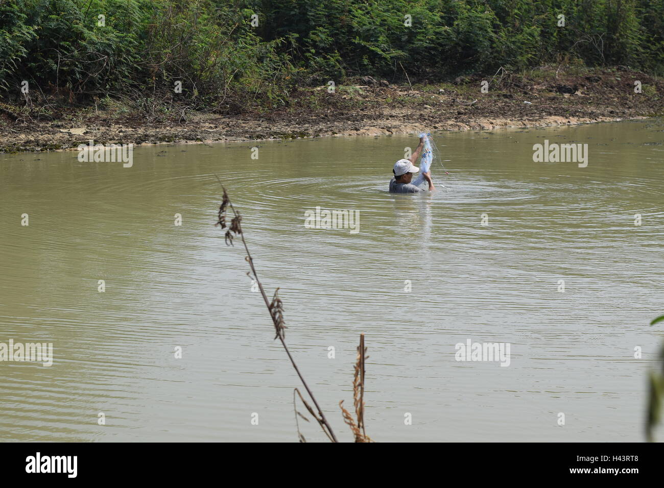 tropical river with fisherman wade across the water Stock Photo - Alamy