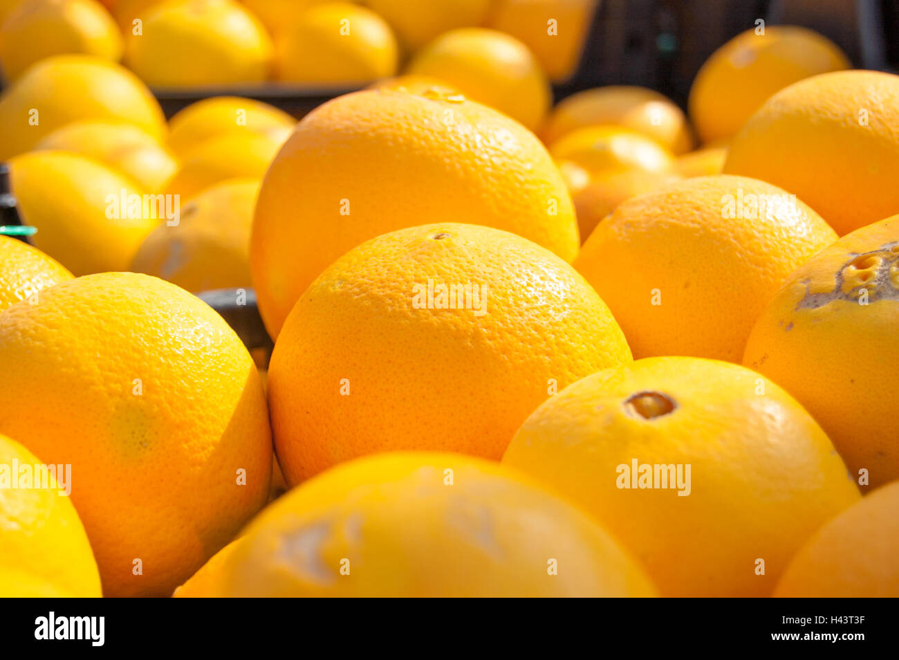 Orange fruiit background. Citrus group. Market place in Turkey Stock ...