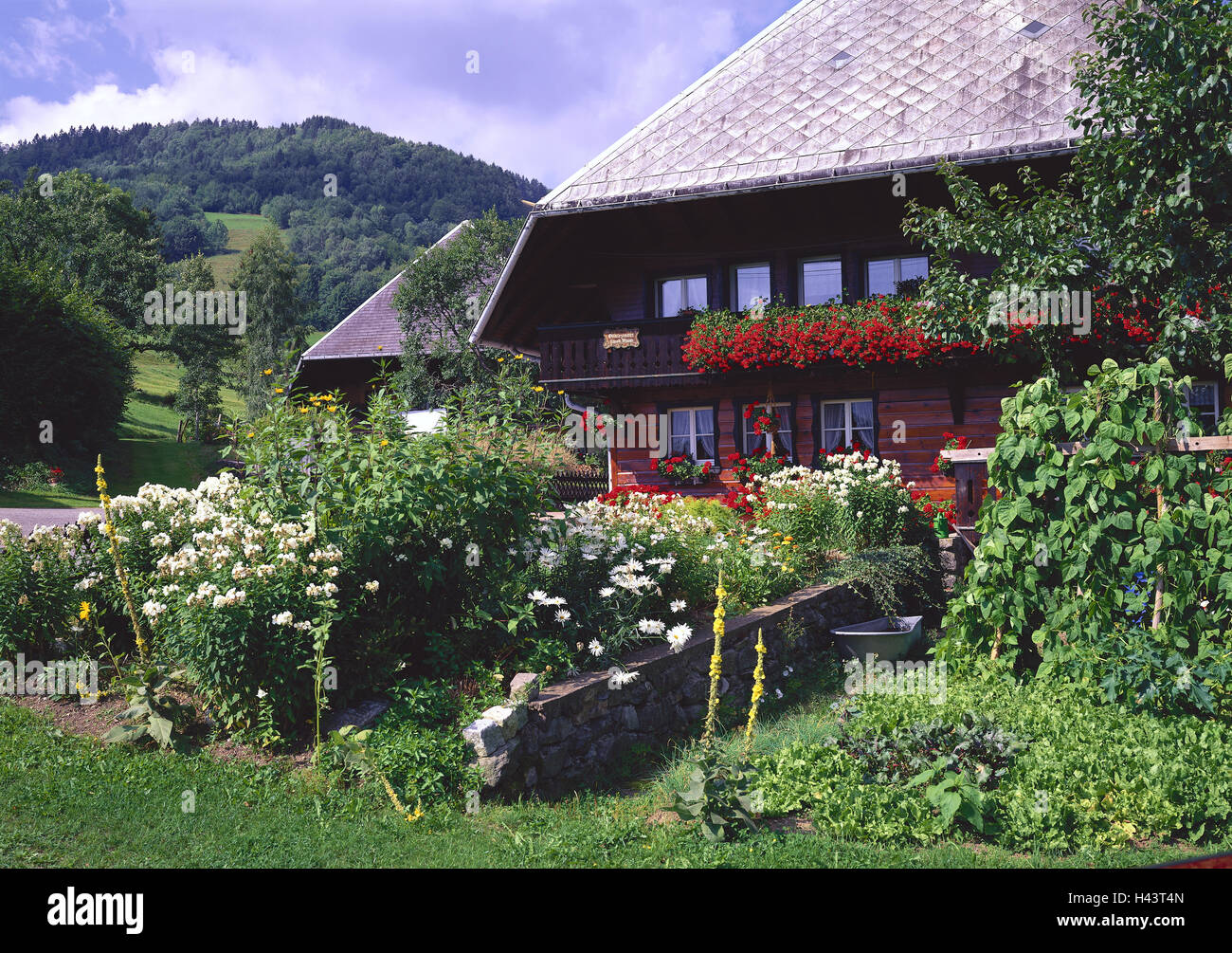 Black Forest House High Resolution Stock Photography and Images - Alamy