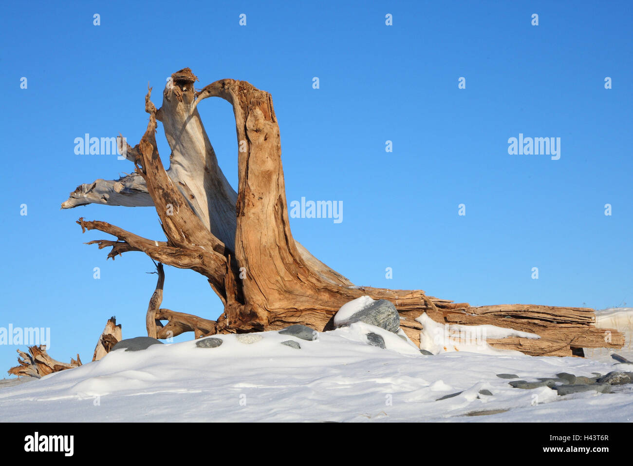 Beach and snow hi-res stock photography and images - Alamy
