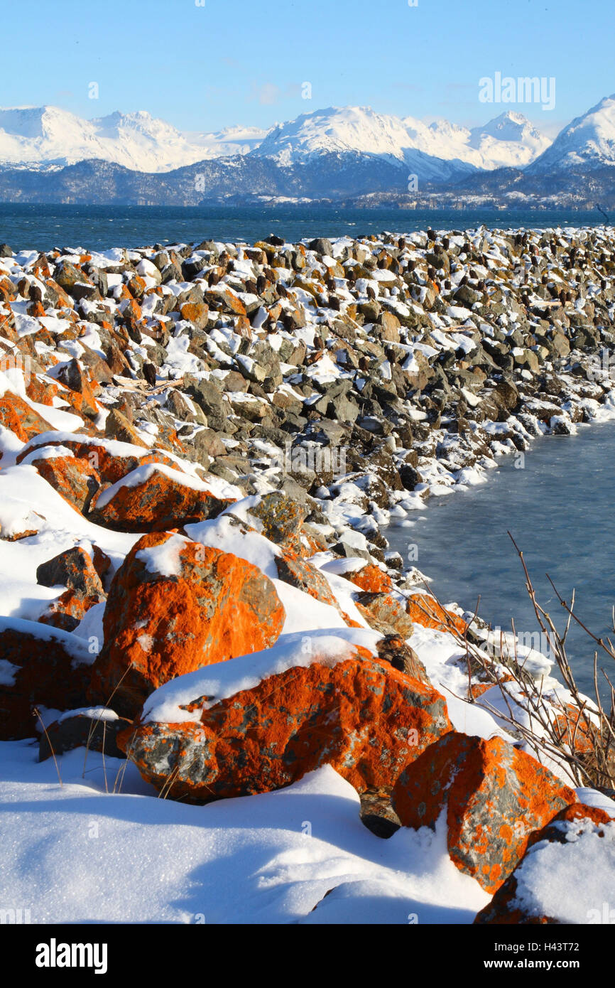 Harbour mole, stones, lichens, winters, Kenai, Alaska Stock Photo - Alamy