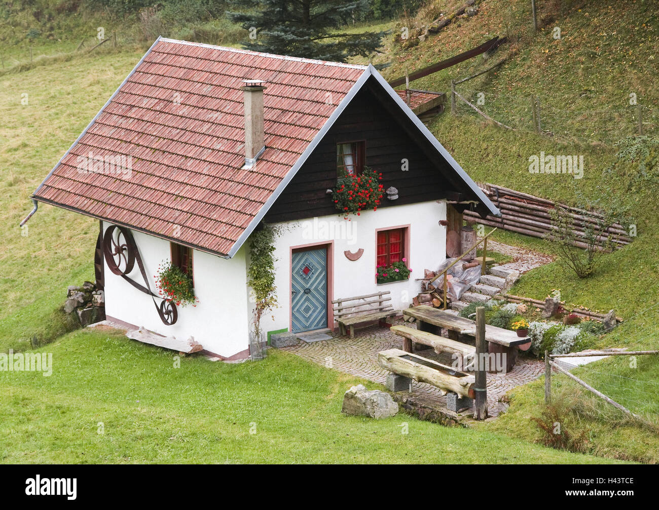 Mountain pasture, house, autumn, mountainside, edge the forest, small ...