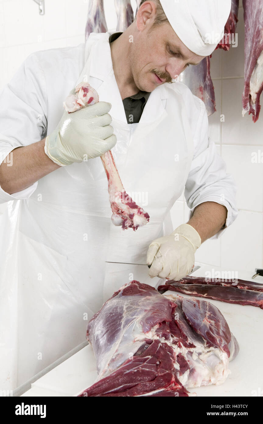 Butcher, knives, deer, jointing, rubber gloves, hygiene, butcher's shop ...