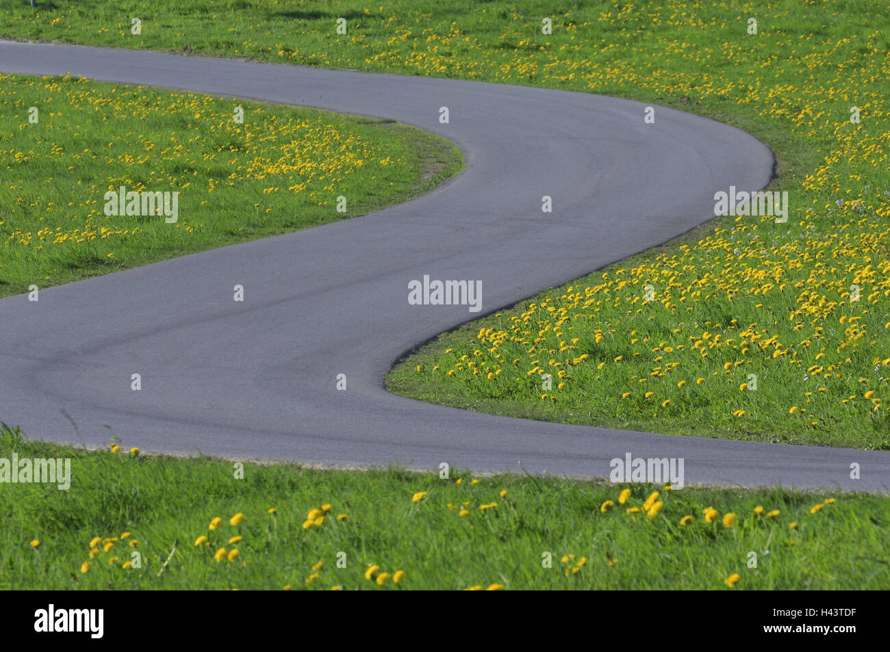 Tarred street hi-res stock photography and images - Alamy