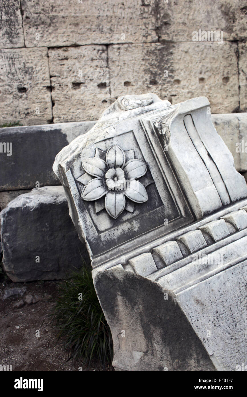 Italy, Rome, forum Romanum, ruin, stone, relief, flower Stock Photo - Alamy
