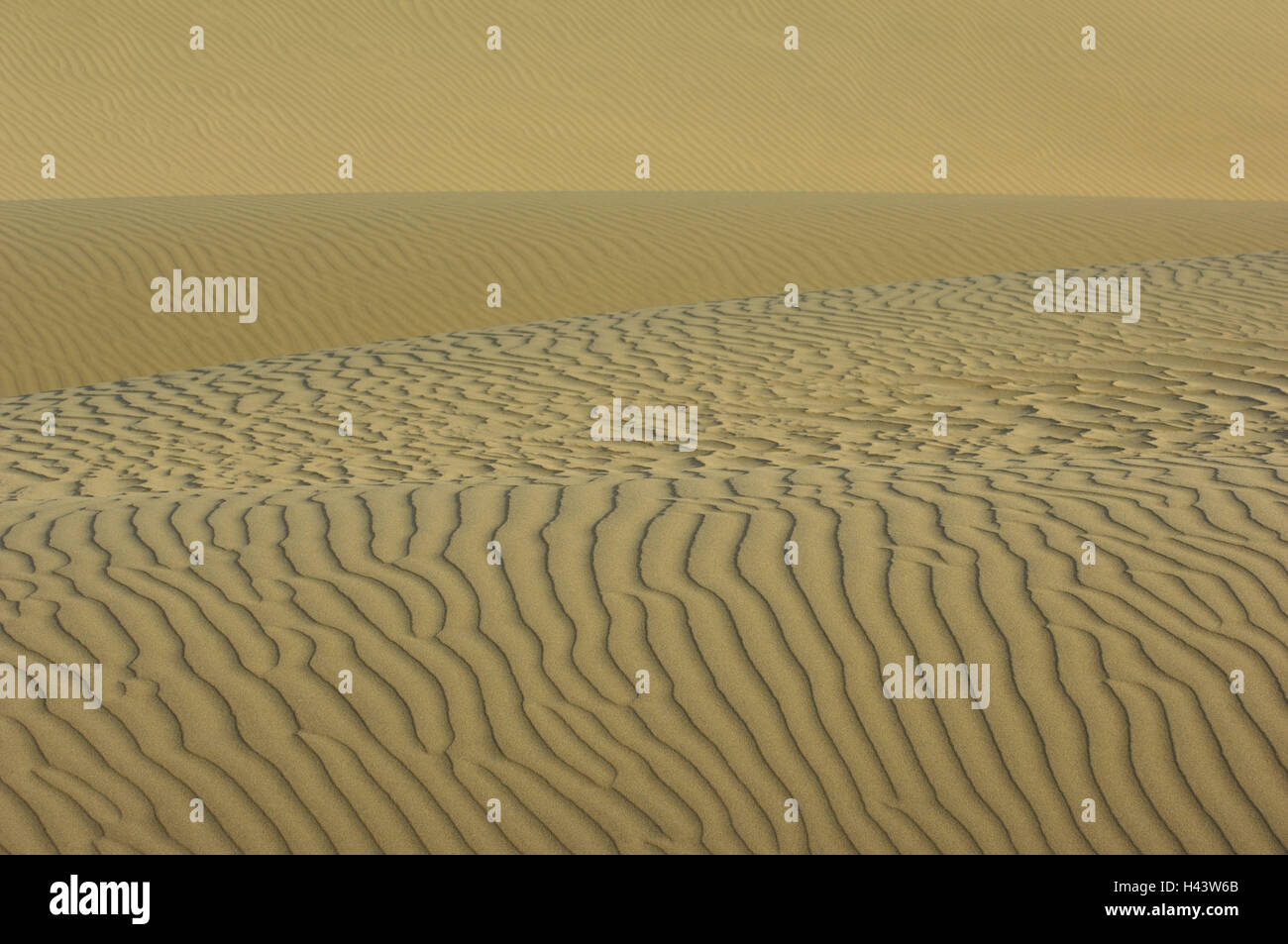 Sand, desert, waves, structure Stock Photo - Alamy