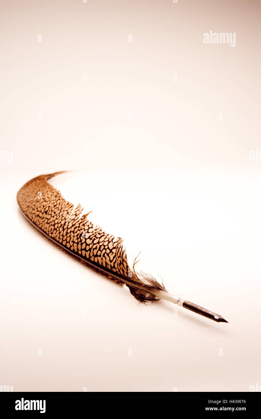 Writing feather, title, cut-out Stock Photo - Alamy