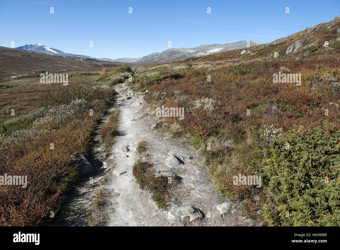 Snohetta hi-res stock photography and images - Alamy