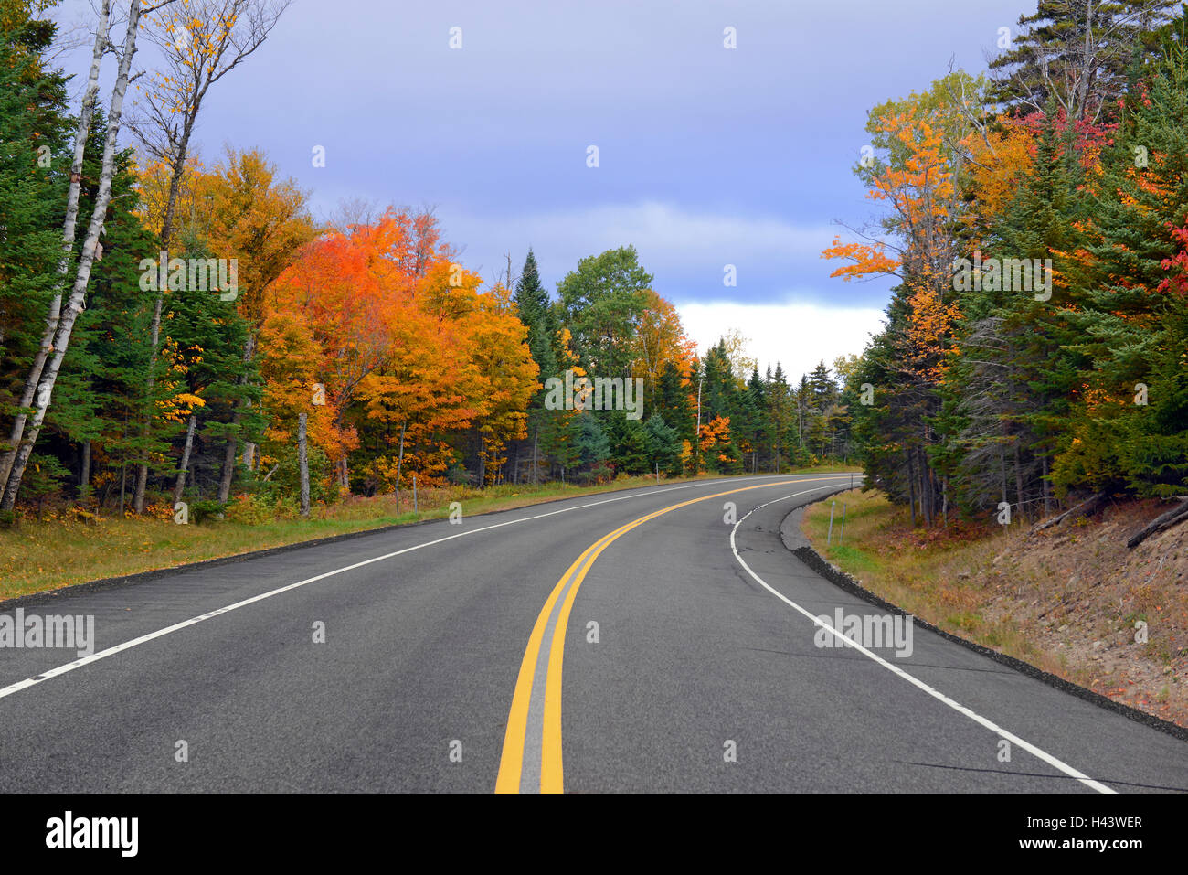 Fall colors, Autumn foliage with red, orange and yellow fall colors in ...