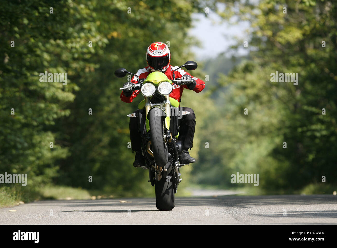Triumph, "Wheelie", country road, wood, motorcycle, green, street ...