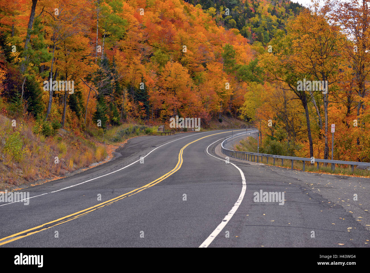 Fall colors, Autumn foliage with red, orange and yellow fall colors in ...