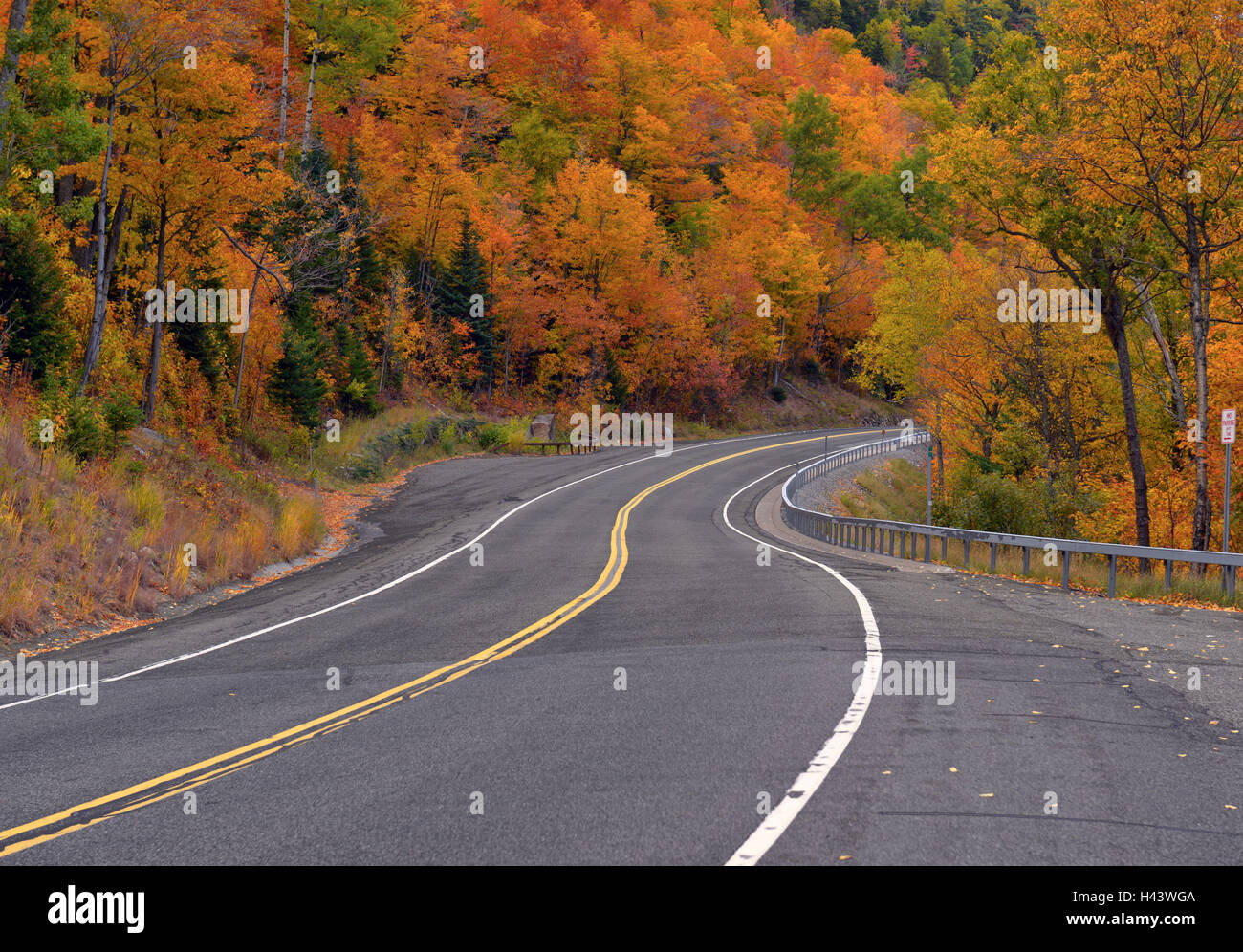 Fall colors, Autumn foliage with red, orange and yellow fall colors in ...