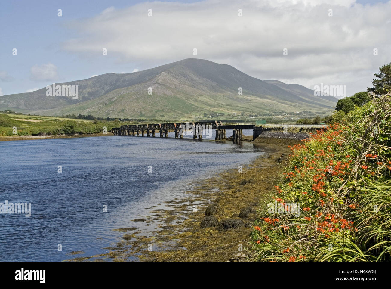 Ireland, Munster, Kerry, Iveragh Peninsula, Cahirciveen, railway bridge ...