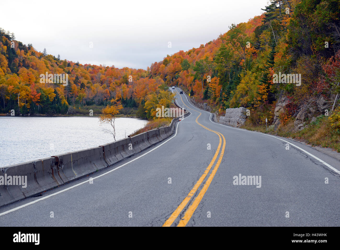Fall colors, Autumn foliage with red, orange and yellow fall colors in ...