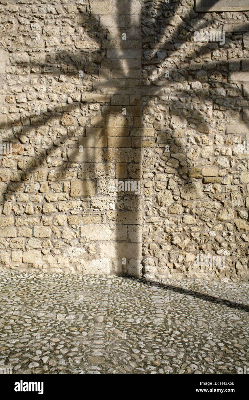 Stone wall, shade, palm Stock Photo - Alamy