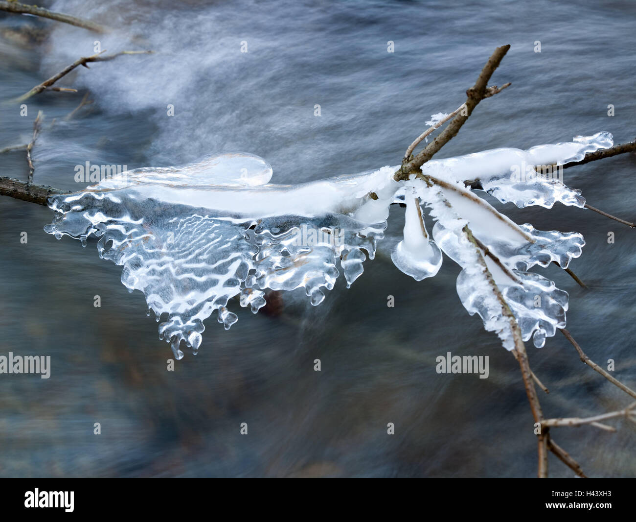 Brook bruhl hi-res stock photography and images - Alamy