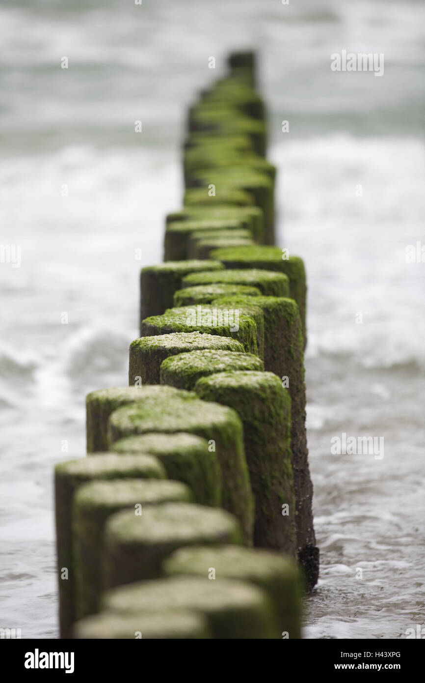 Germany, Baltic beach, beach, detail, breakwaters, algae Stock Photo ...