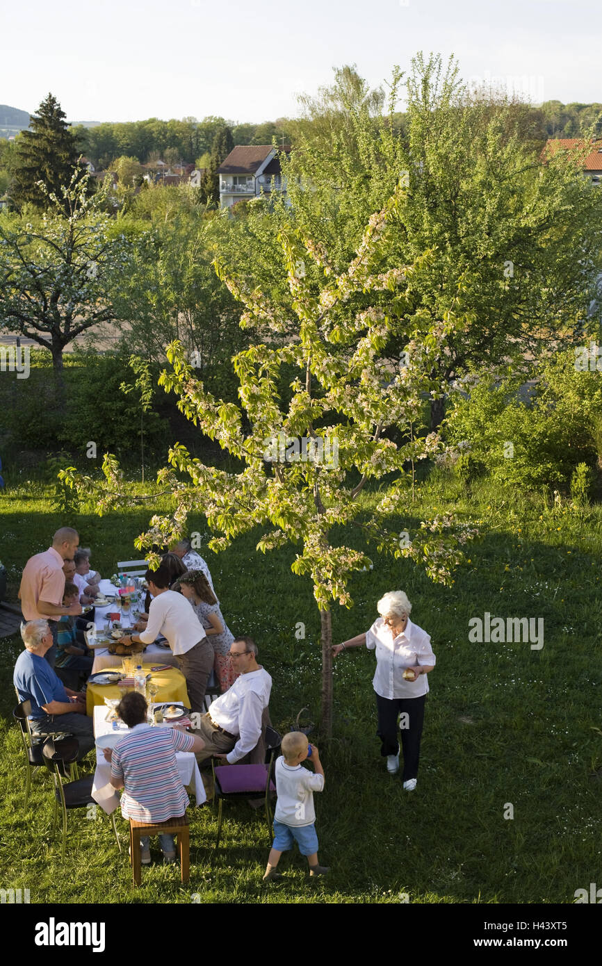 Garden, family feast, summer, from above, birthday, birthday feast ...